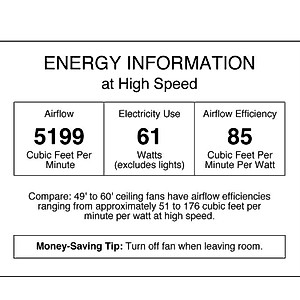 Westinghouse Lighting 78016 Westinghouse Comet 52-Inch Matte Indoor Ceiling Fan, Light Kit with Frosted Glass (Black 2 Pack)