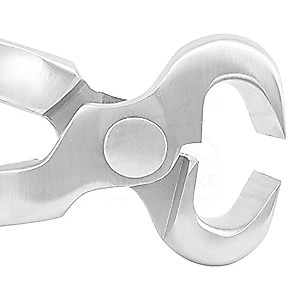 Equine Care 10 Inches Pre Loaded Spring Farrier Hoof Nippers for Precision Hoof Trimming and Maintenance.