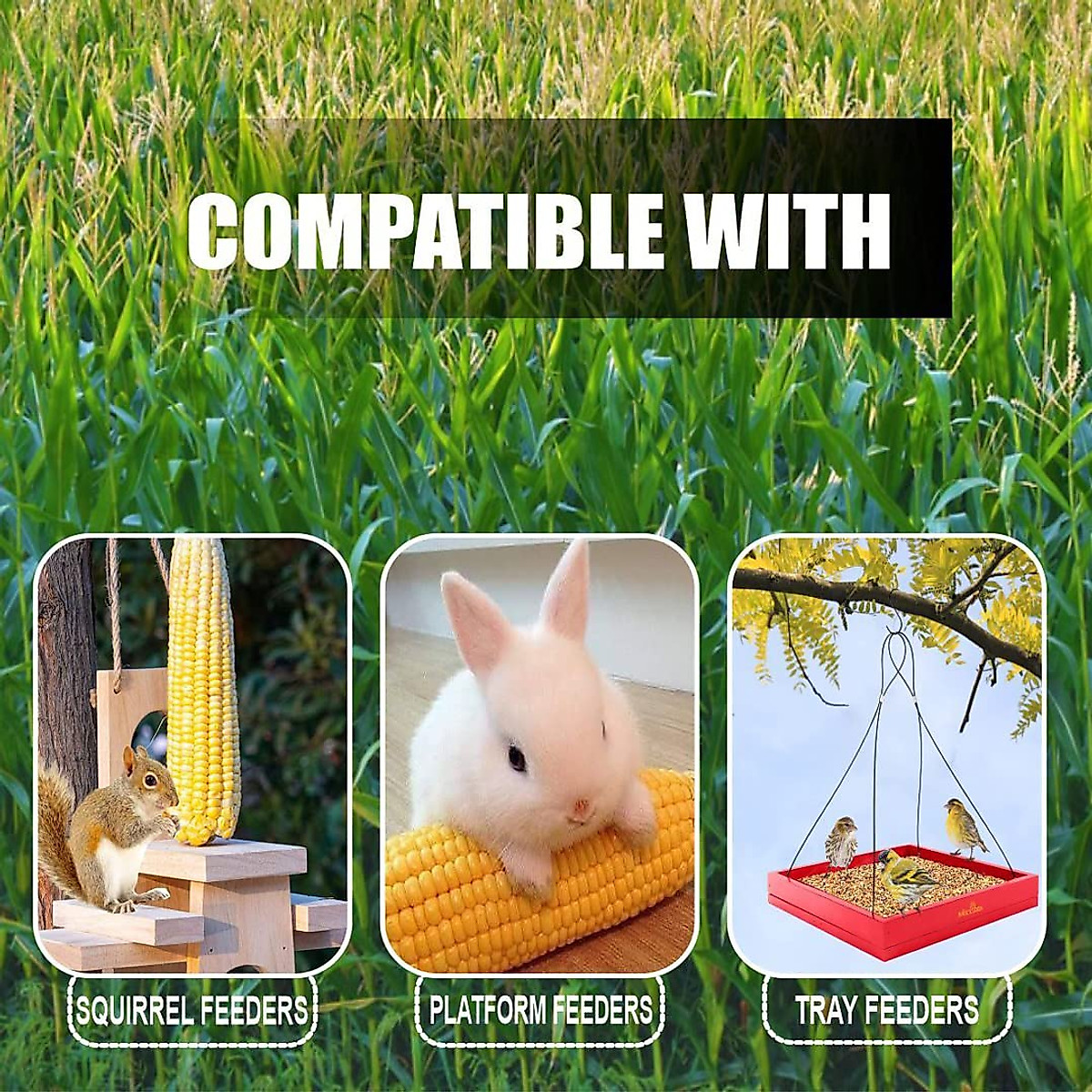 Old Potters Ear Corn for Animals - Approx. 13 lbs - Grown in USA Feed for Backyard Animals, Great for Squirrels, Deer, Rabbits, and Other Wildlife, 24-30 Count.