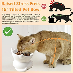 Elevated Cat Bowls, 15° Tilted Raised Cat Food Bowl Anti-Vomiting,Whisker Friendly, Cat Dishes for Protecting Spine (White)