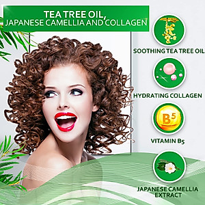 Tea Tree Oil Shampoo and Conditioner Set - Anti Dandruff Treatment for Itchy, Dry Scalps - Ideal for Women and Men with Oily Hair and Scalp Buildup - Sulfate and Paraben Free