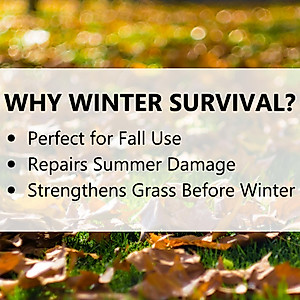 Jonathan Green (12414) Winter Survival Fall Lawn Food - 10-0-20 Fall Lawn Fertilizer (15,000 Sq. Ft.)