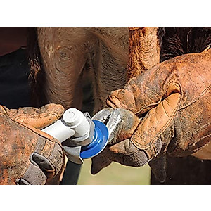 Basic Goat Hoof Trimmer Set – Electric Plug-in -110volt – Accessories Included