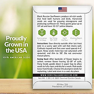 Survival Garden Seeds - Black Russian Sunflower Seed for Planting - Packet with Instructions to Plant and Grow Flowers for Oil or Bird Feed in Your Home Vegetable Garden - Non-GMO Heirloom Variety