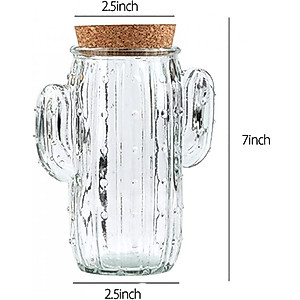123Arts Glass Relief Cactus Candy Jar Candy Dish Container Snack Jar Food Storage Jar with Lid