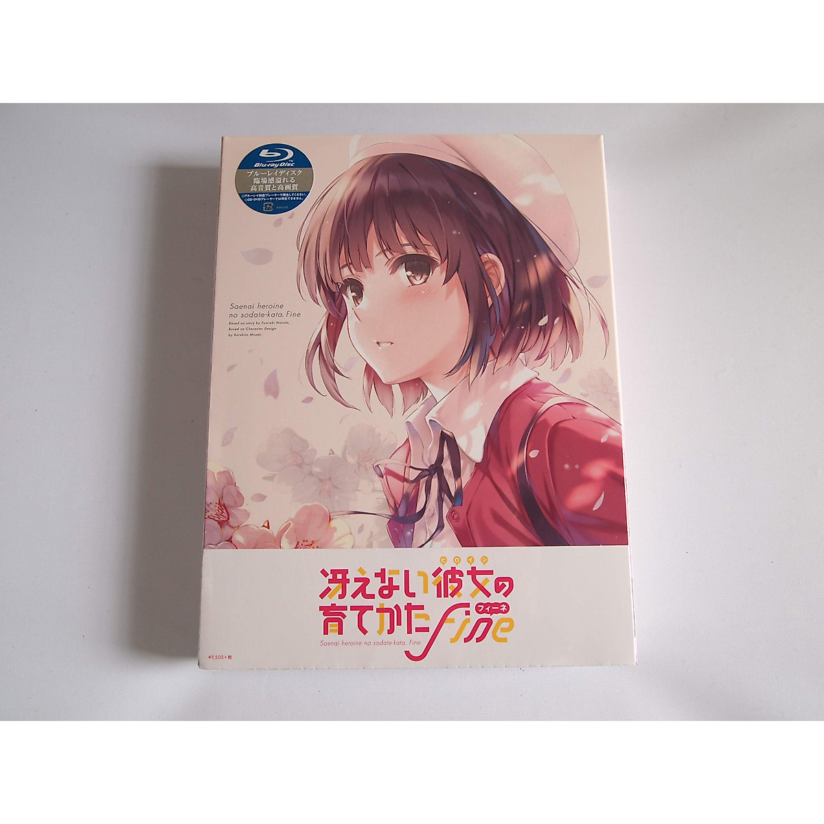 Saekano the Movie: Finale How to Raise a Dull Girlfriend Fine (Limited Edition) (Blu-ray) Character draft, drawn by Kurehito Misaki B2 clear poster A5 size with mouse pad