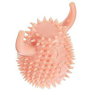 balacoo pet Teething Toys Tough Dog Toys Teething Toys for Puppies Dog Toothbrush Stick Toy Pet Chewing Toy Dog Dental Clean Toy Puppy pet Toothbrush Pet Molar Toy Tool TPR Christmas