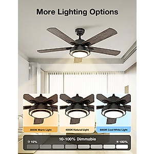warmiplanet Ceiling Fans with Lights and Remote Control, 52 Inch, 6 Speeds Reversible DC Motor, 3 Color Dimmable Light, Timer, Noiseless, Black, 5 Blades