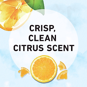 Herbal Essences Body envy shampoo , 29.2 fl oz