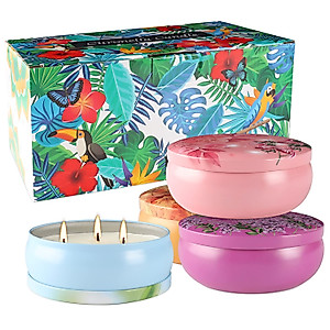 Outdoor & Indoor Citronella Candles,Summer Candle Gift,3-Wick Natural Soy Wax Candle,for Porch Patio Garden Balcony,4 x 12 oz