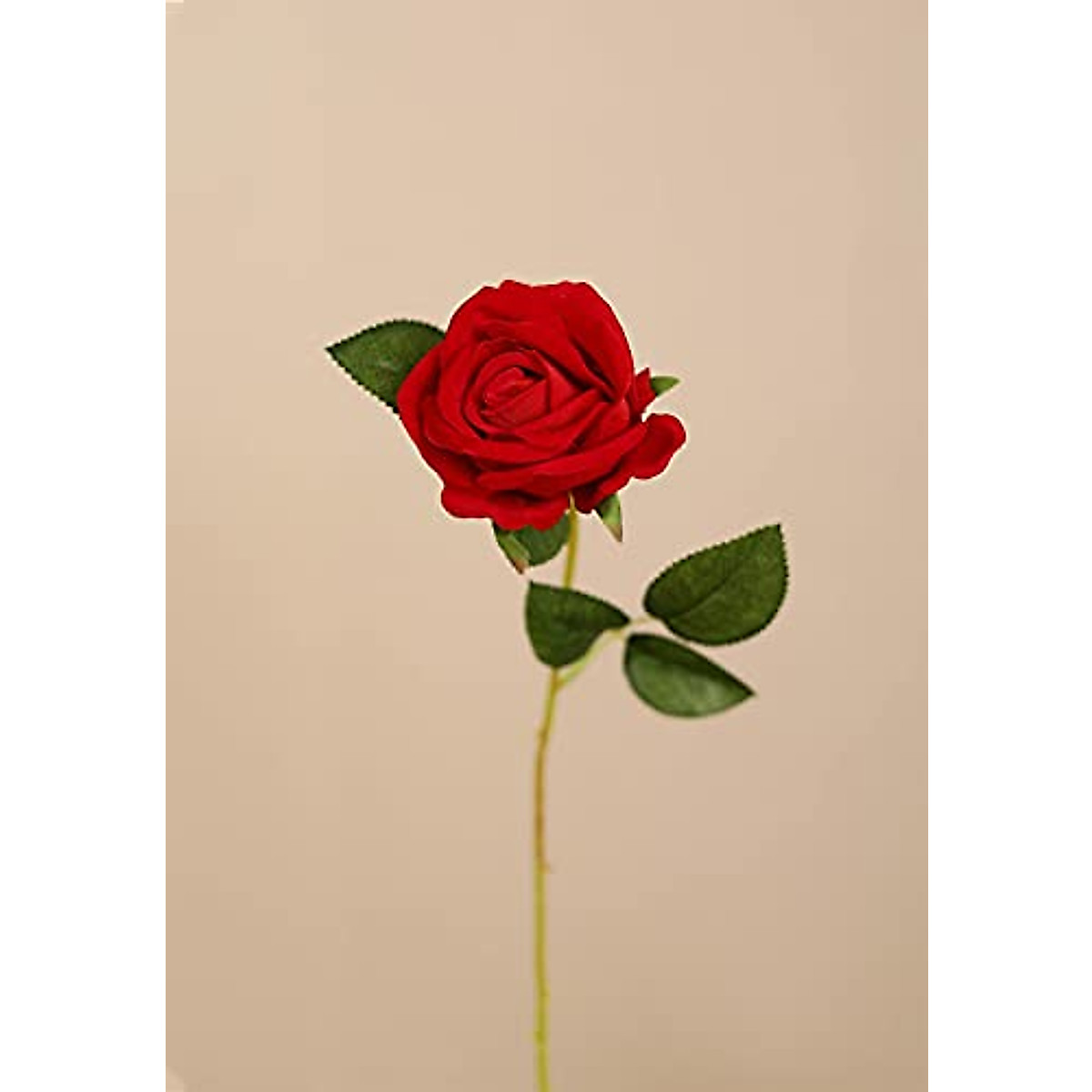 Luyue 10 Pack Artificial Velvet Roses Fake Red Rose Silk Flowers with Stem Floral Gift for Wedding Arrangement Party Home Decor-Red