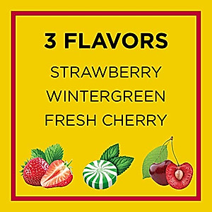 Carmex Daily Care Moisturizing Lip Balm Sticks with SPF, Fresh Cherry, Strawberry and Wintergreen Lip Balm Pack, 0.15 OZ - 3 Count (Pack of 3)