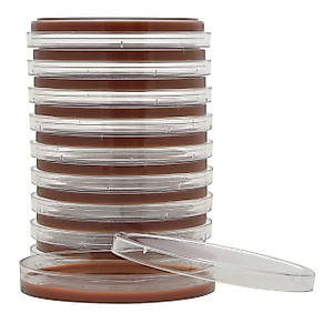Chocolate Agar, (GC Agar Base with 1 Percent Bovine Hemoglobin and Koenzyme Supplements), for Fastidious Bacteria, 15x100mm Plate, Order by The Package of 10 Plates, by Hardy Diagnostics