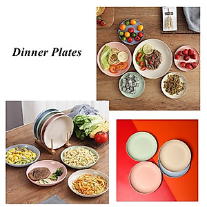 CAMBUY Wheat Straw Plates Lightweight Unbreakable Dinner Dishes Plates Set Dishwasher & Microwave Safe (Extra Large 4 Pack 10')