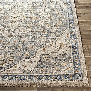 Hauteloom Chesnee Living Room, Bedroom Area Rug - Updated Traditional - High Pile - Blue, Yellow - 7'10"