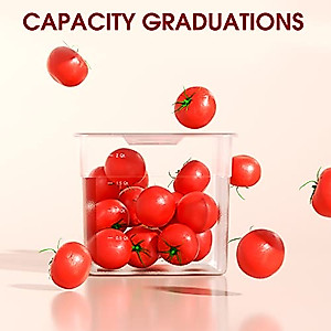 WantJoin 1/3 Size Plastic Clear Food Pans with Lids,6 Pack 8 Inch Restaurant Food Storage Containers with Handle,Stackable Polycarbonate Hotel Pans