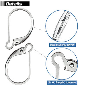 TOAOB 16pcs 925 Sterling Silver Leverback Earring Hooks Hypoallergenic Interchangeable Dangle Ear Wire 10x16mm Leverback Earring Findings for Jewelry Making