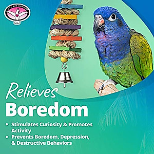 Super Bird Creations SB1095 Seagrass Wafers Bird Toy, Medium Bird Size, 9" x 2.5" x 1.5"