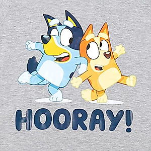 Bluey Toddler Boys 3 Pack Graphic T-Shirts 5T Blue