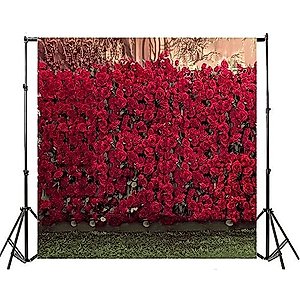 AOFOTO 8x8ft Portrait Backdrops Photography Wedding Background Manor Romance Red Rose Flowers Wall Blurry Grassland Lovers Anniversary Decor Kid Girl Ladies Portrait Photo Shoot Studio Props Vinyl