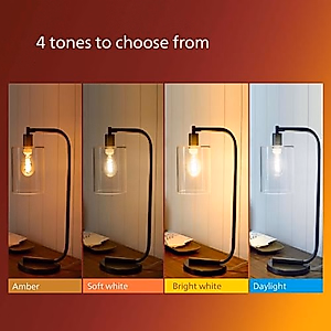 PHILIPS LED Vintage Flicker-Free Clear Spiral A19 Dimmable, Eyecomfort Technology, 500 Lumen, Soft White(2700K), 5.5W=40W, Title 20 Certified, E26 Base (565788), 1 Count (Pack of 1)