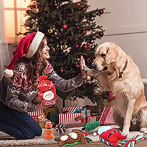 Lobeve Christmas Dog Toys Pack for Puppies,7 Pack Holiday Puppy Toys for Small Dogs,Puppy Chew Toys with Cute Squeaky Toys,Xmas Dog Flying Discs,Treat Ball and More Rope Toys