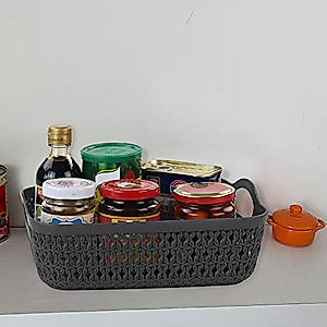 Zerdyne 6-Pack Gray Small Plastic Storage Baskets Tray with Handle