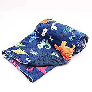 Hooyax Baby Blankets Super Soft Toddler Blanket with Blue Dinosaur Printed Infant Blanket with Dotted Backing 30 x 40 Inch