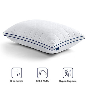 BedStory Pillows for Sleeping,Standard Pillows Set of 2,Cooling Pillows with Mesh Design,Premium Soft Down Alternative Fill Supportive for Back, Stomach or Side Sleepers