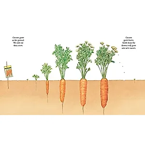 Vegetables (My First Discovery Paperbacks)