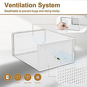 QualiapeX Medium Shoe Storage Boxes, Clear Plastic Stackable Shoe Organizer, Foldable Storage Bins Shoe Container Box, White 12 Pack