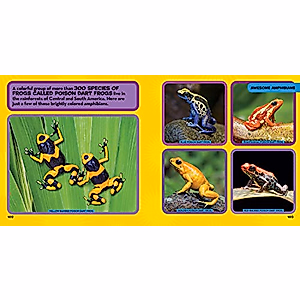 National Geographic Little Kids First Big Book of Reptiles and Amphibians (National Geographic Little Kids First Big Books)