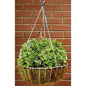 Orbit 56311 Hanging Basket Drip Irrigation Drip Watering Kit with Flex Misters,Black