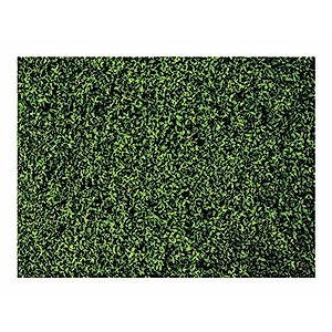 Funnytree 95" x 72" Nature Green Lawn Leaves Backdrop for Photography Background Greenery Grass Floordrop Pictures Party Ground Decor Outdoorsy Newborn Baby Shower Lover Wedding Photo Studio