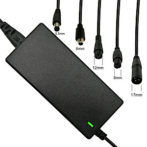 29.4V 2A Charger 5 Plugs for 24V 25.2V 25.6V Scooter Lithium Battery, Pack DC 5.5 * 2.1 with 8mm 3 Prong/ 12mm 3 Prong/ 8mm RCA/ 3-Pin Male XLR Connector