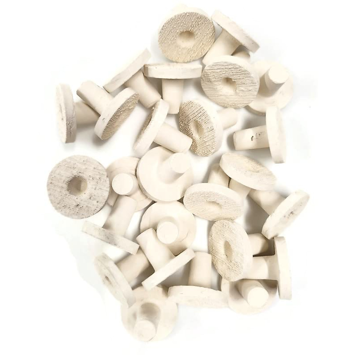 NextGen Reefs® 1" Ceramic Natural White Coral Frag Plugs 25pc