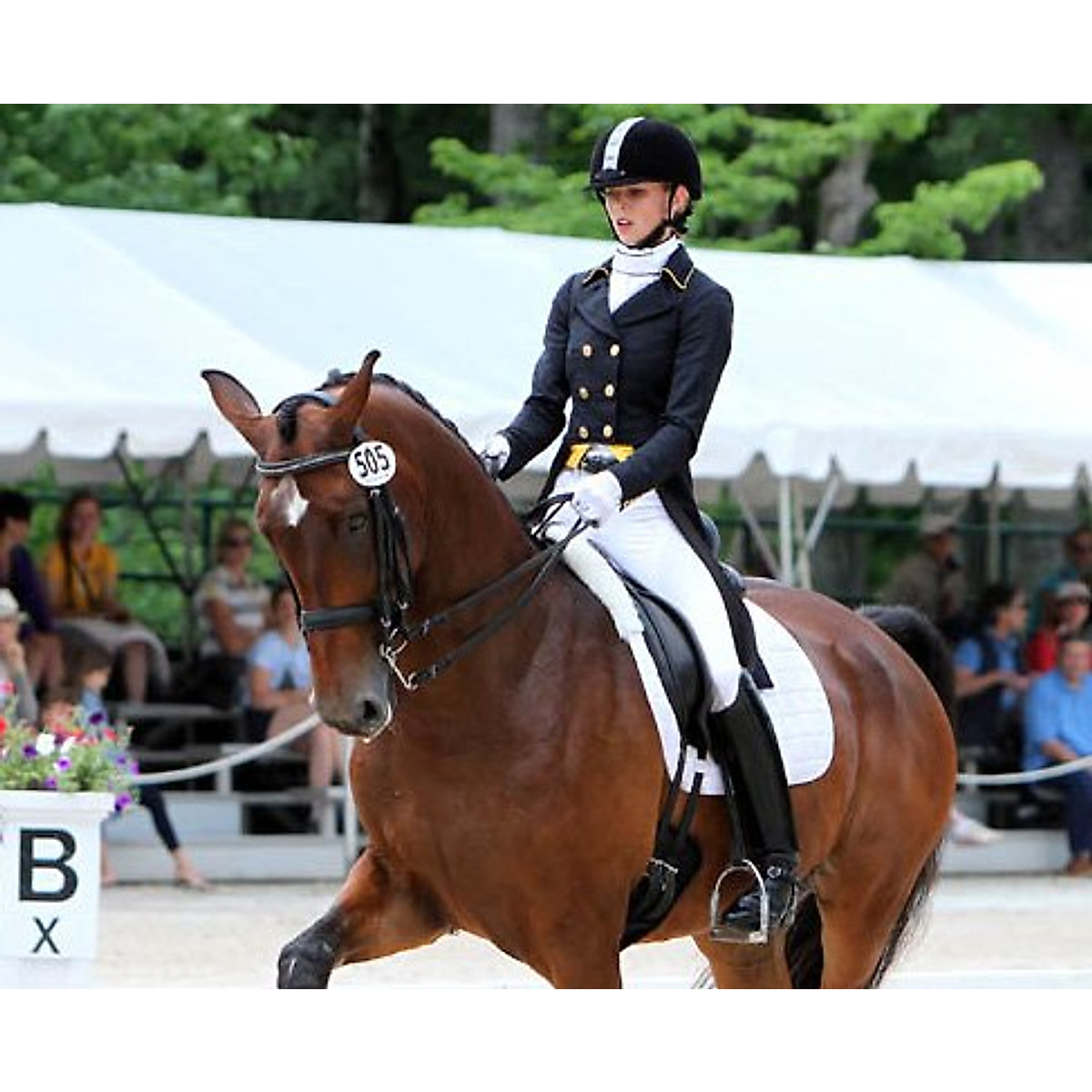 Vitafloor VMC Vibration Training Platform for Horses - Speed Recovery & Reduce Injury Time with Vibration Therapy for Horses!