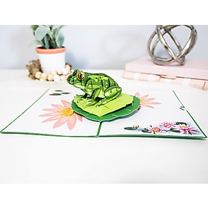 Rykamia Green Frog Pop Up Card, Blank Frog Card With Envelop, Frog Birthday Card, Frog Card for Kids, Frog Gift, Just Because, Get Well Soon, Frog Thank You Card, Frog Card For Mom, Wife, Daughter