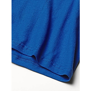 Fortnite Boys' Wings of Fortnight T-Shirt, Royal Blue, Medium