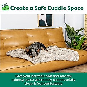 Furhaven Waterproof Throw Blanket for Dogs & Indoor Cats, Washable - Shaggy Plush Calming Long Faux Fur & Velvet Dog Blanket - Driftwood, Extra Large/XL