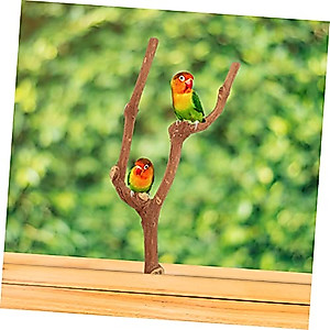 Budgie Cage Accessories Bird Screw Mount Toy- Bird Perch can Help Increase Pets' Activity Space, a Nice Toy for Parrot. It Will give Them a Good Experience.