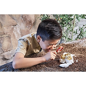 Robo Alive Mega Dino Fossil Find (T-Rex) by ZURU Dig and Discover, STEM, Excavate Prehistoric Fossils, Dinosaur Toys, Educational Toys, Great Science Kit Gift for Girls and Boys