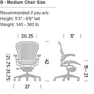 Herman Miller Classic Aeron Task Chair: Tilt Limiter w/Seat Angle Adj - PostureFit Support - Fixed Vinyl Arms - Standard Carpet Casters