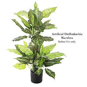 Pure Garden Artificial Dieffenbachia Floor Plant - 40-Inch Potted Faux Greenery for Home or Office Decoration - Natural Looking Polyester Leaves