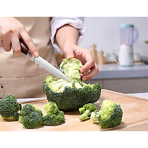 PICKWILL 5 Inch Kitchen Utility Knife with Sheath, Multi-purpose Small Chef Knife with Ergonomic Pakkawood Handle, 5Cr15MoV stainless steel Knives for Cutting Meat, Fruit & Vegetable