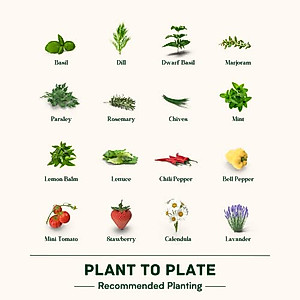 HORTUZZ Hydroponics Growing System, 8 Pods Indoor Herbs Garden with LED Grow Light for Plants, Smart Home Countertop Gardening for Lettuce Tea Cilantro Tomato Rosemary (Novo 8 Black)