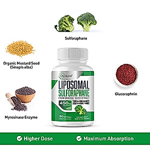 Osasuna Liposomal Sulforaphane 450MG, Maximum Absorption, Glucoraphanin with Myrosinase, Antioxidant Supplement from Broccoli Seed Extract, 120 Softgels