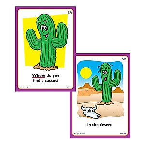 Super Duper Publications | Ask and Answer® Where Questions Fun Deck | Communication and Language Processing Skills Flash Cards | Educational Learning Materials for Children