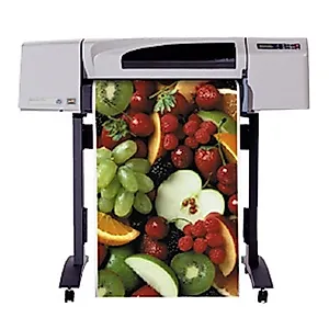 HP Designjet 500 42-inch Roll Printer (C7770B)