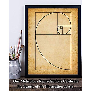 Fibonacci Spiral - 11x14 Unframed Art Print - Makes a Great Gift Under $15 for Artists